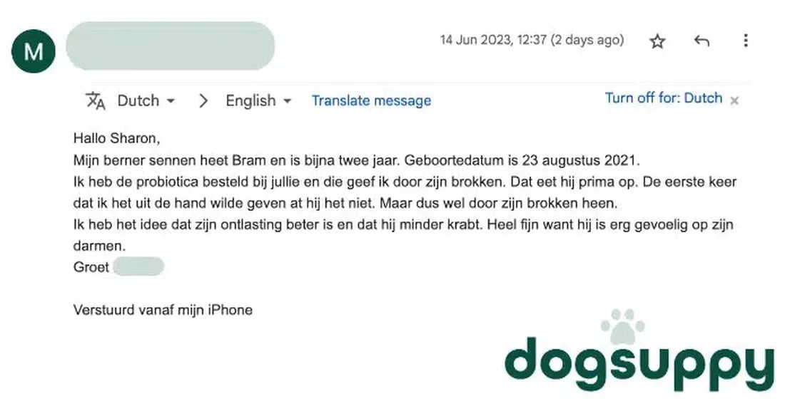 Berner Sennenhond Bram heeft betere ontlasting en krabt m