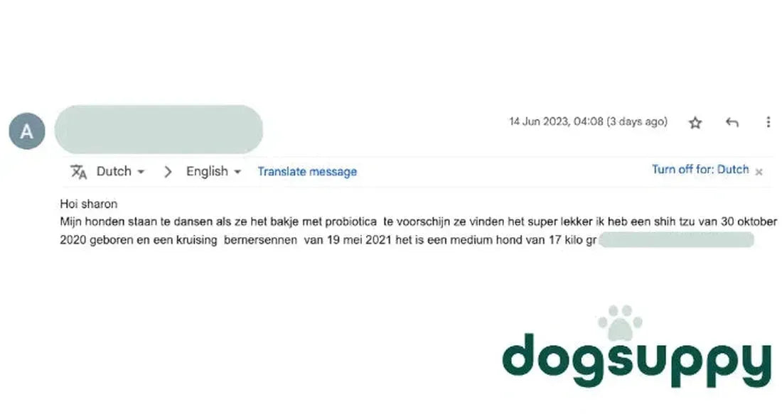 Shih-tzu Saartje en Berner Senne kruising Nouska dansen voor probiotic
