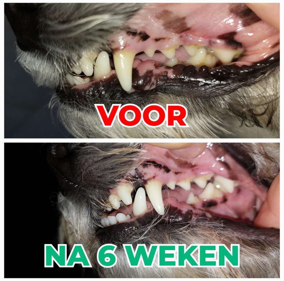 Dental Bright honden supplement | Tegen de slechte adem en om tandplak ...