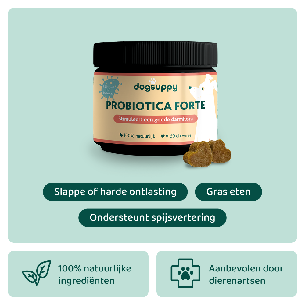 Probiotica voor voor honden voor gezonde darmflora - Probiotica Forte