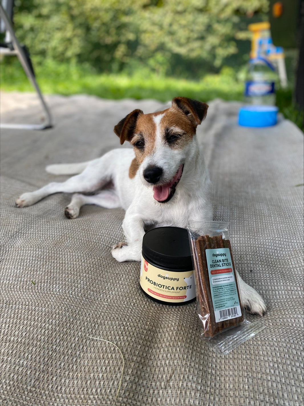 Premium hondensupplementen - DogSuppy