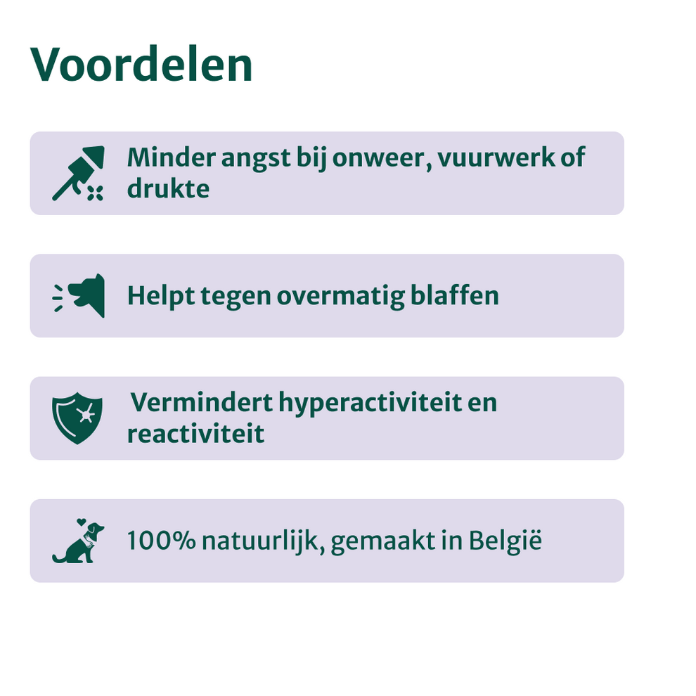Verminder angst & stress bij je hond - DogSuppy